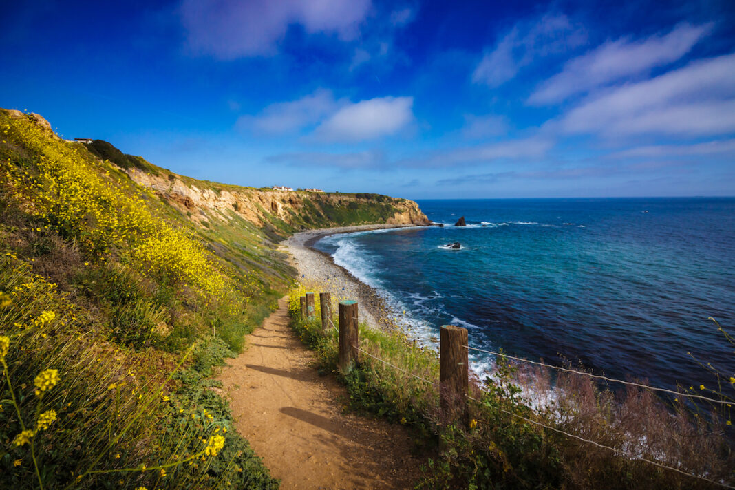 6 Reasons to Live in LA