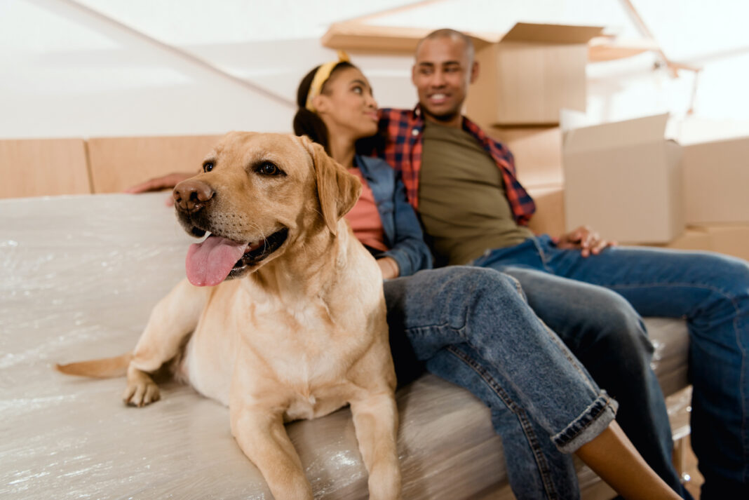 What To Know About Pet Fees