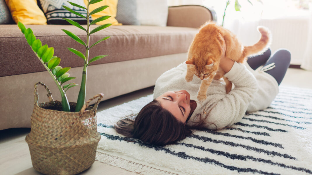 The 11 Best Pets for Apartments